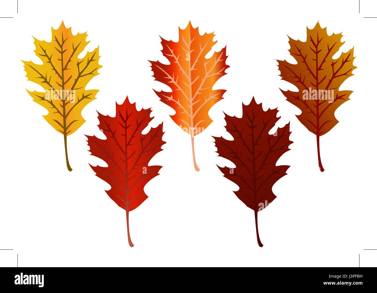 Tree in fall colors Stock Vector Images - Alamy