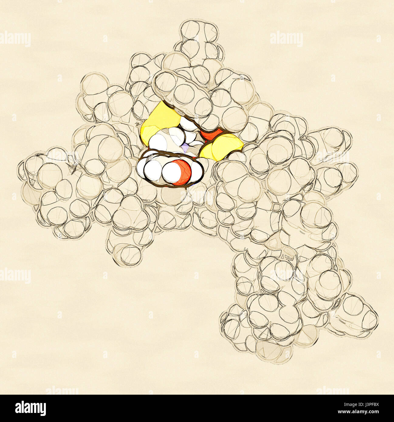 Epidermal growth factor (EGF) signaling protein molecule. Epidermal ...