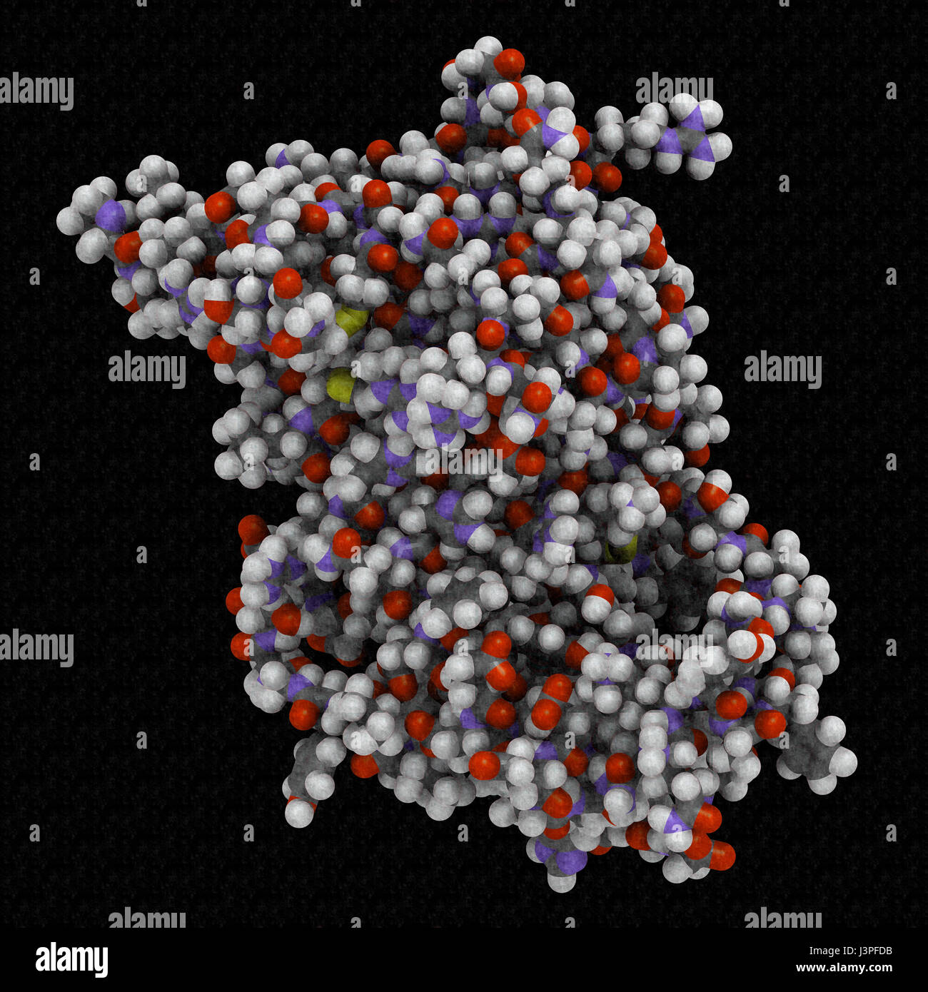 Human growth hormone hi-res stock photography and images - Alamy