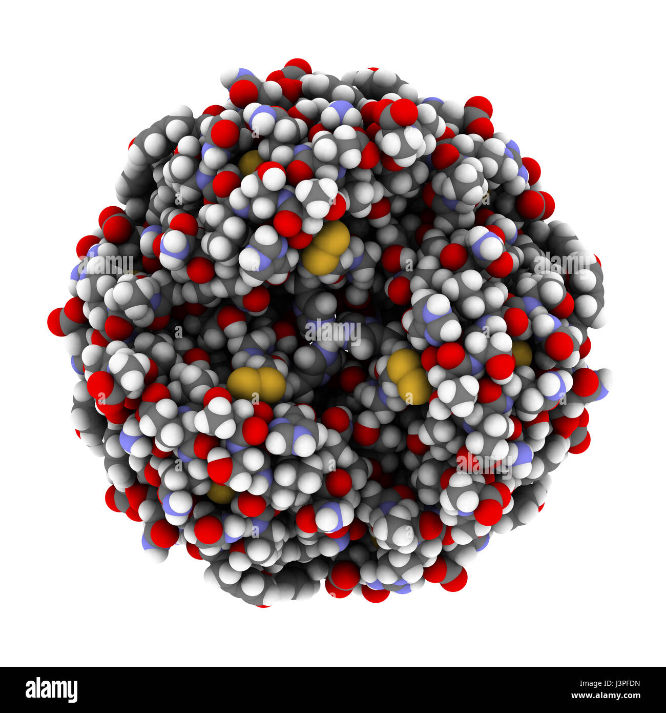 Insulin peptide hormone, chemical structure. Used in treatment of ...