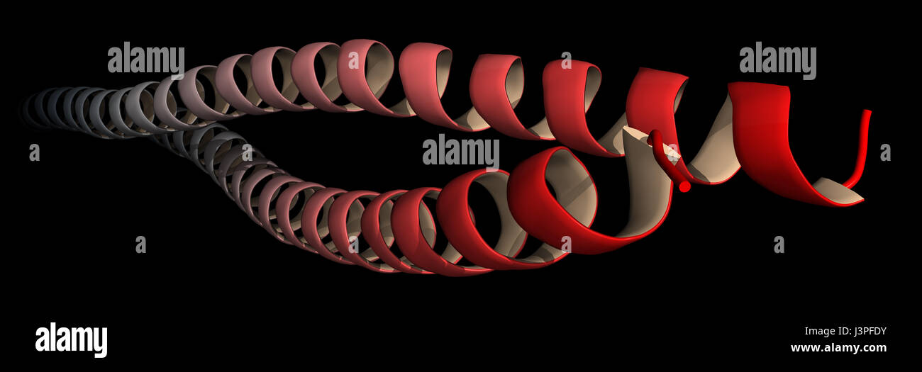 Keratin intermediate filament, chemical structure. Keratin is one of ...