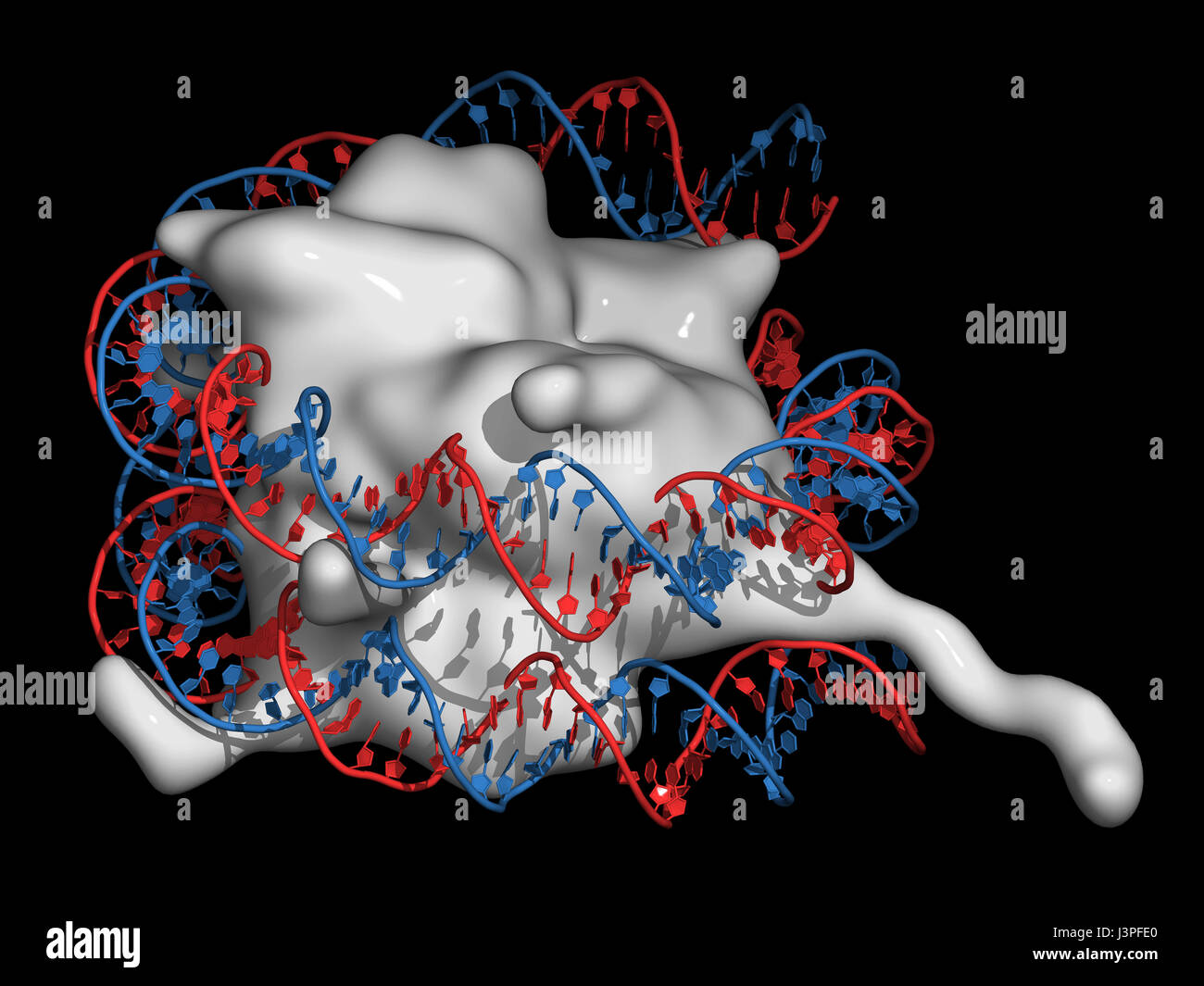 Nucleosome hi-res stock photography and images - Alamy