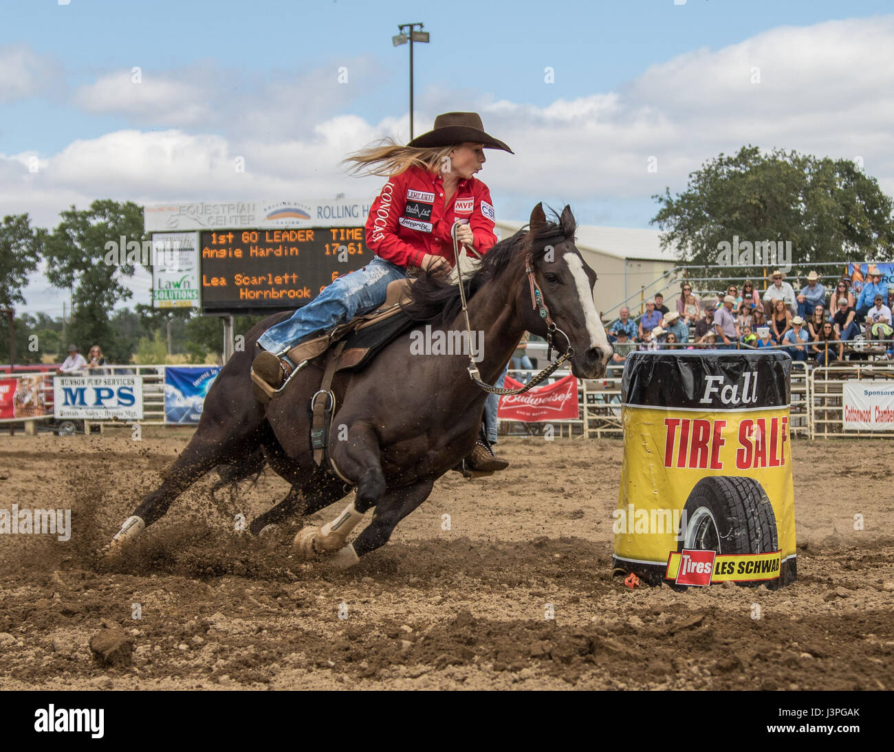 Bucking bronco woman hi-res stock photography and images - Alamy