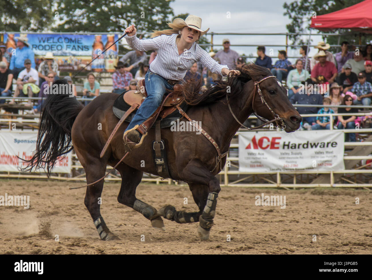 Barrel racing action at the rodeo in Cottonwood, California Stock Photo ...