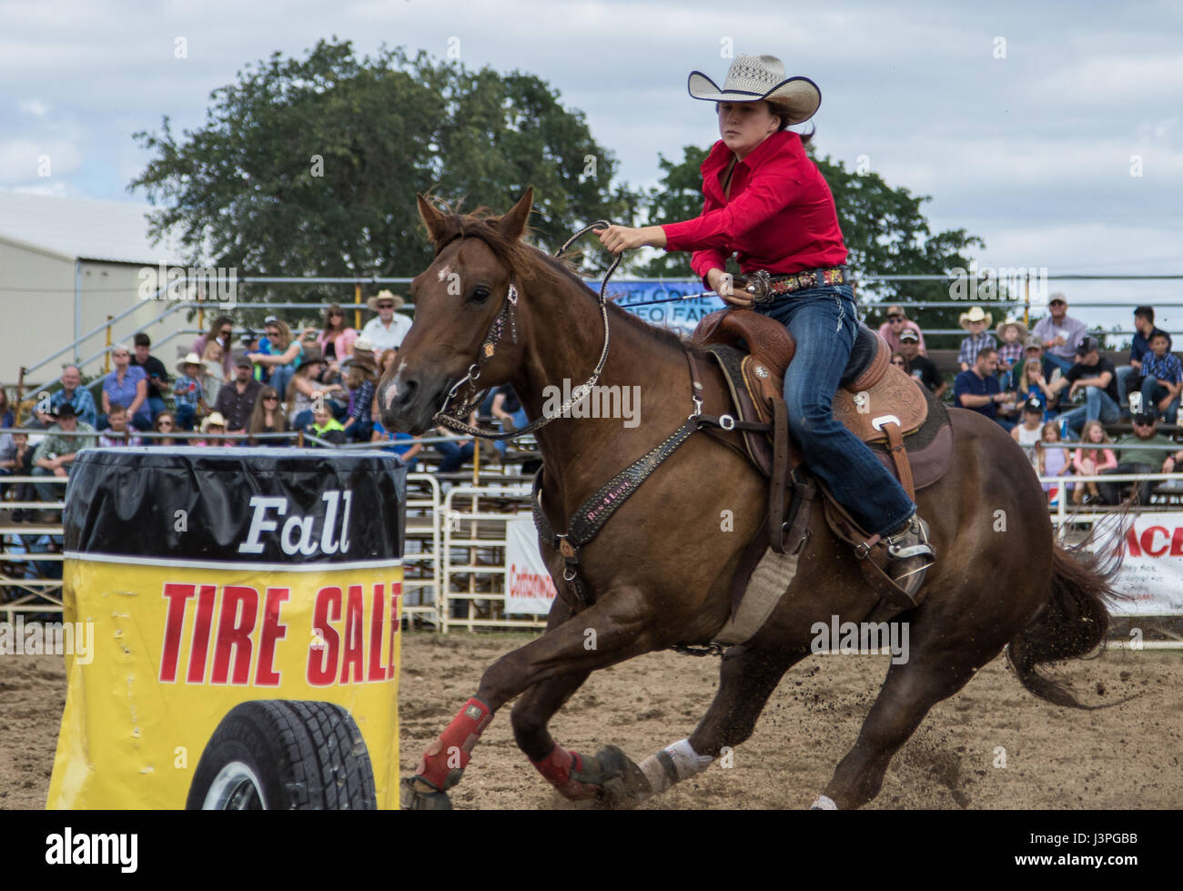 Barrel racing action at the rodeo in Cottonwood, California Stock Photo ...