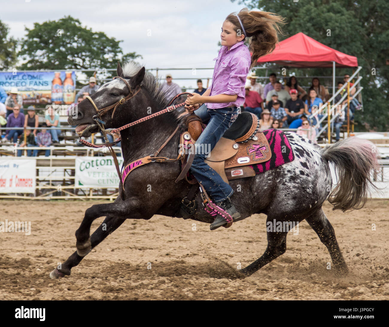 Bucking bronco woman hi-res stock photography and images - Alamy