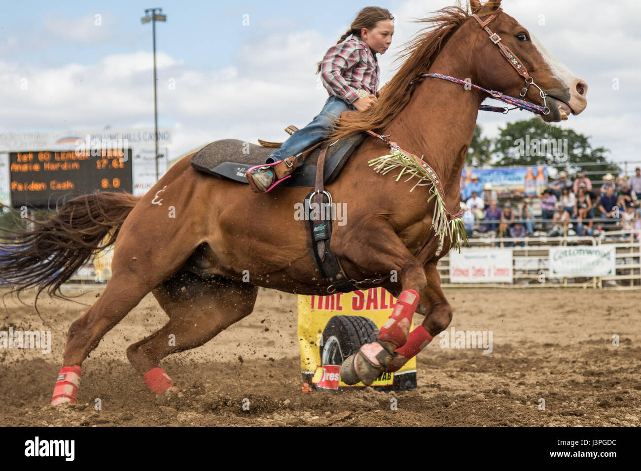 Barrel racing cowgirls in action at the rodeo in Cottonwood, California ...