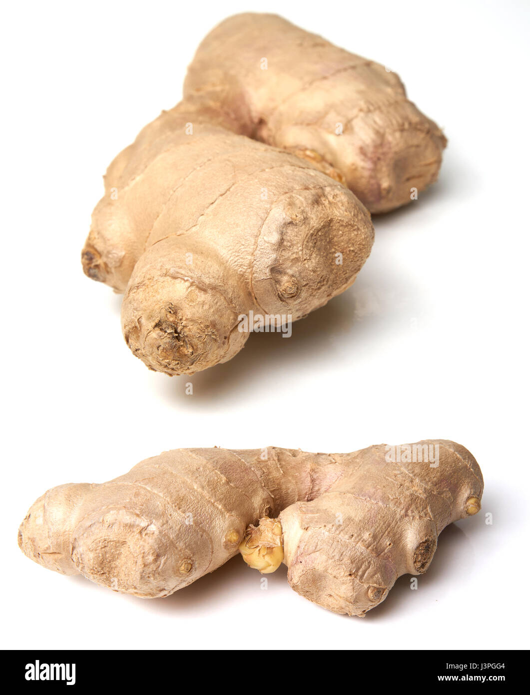 Root ginger isolated on a white studio background Stock Photo - Alamy