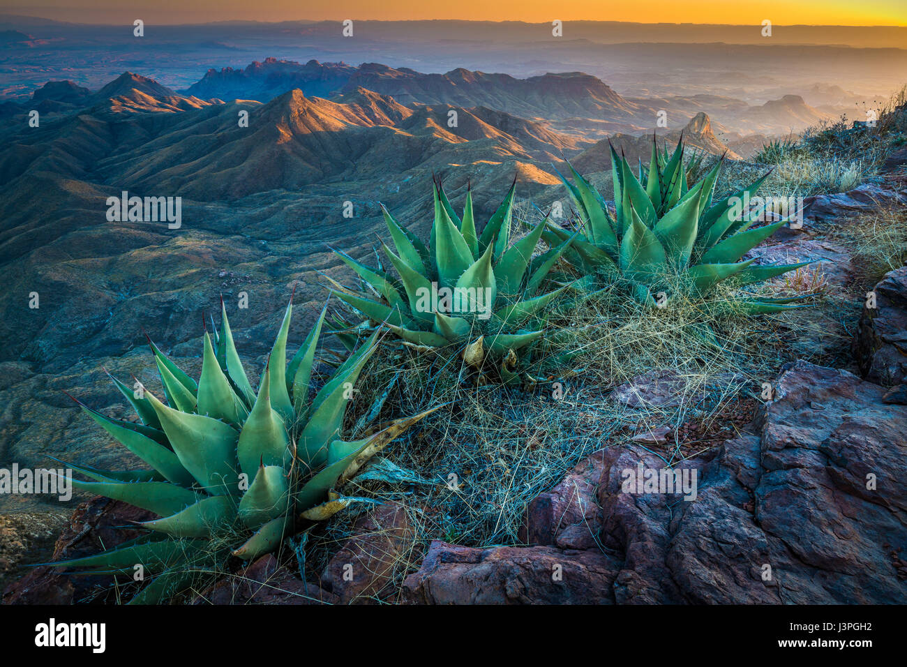 Big Bend National Park in the U.S. state of Texas has national ...