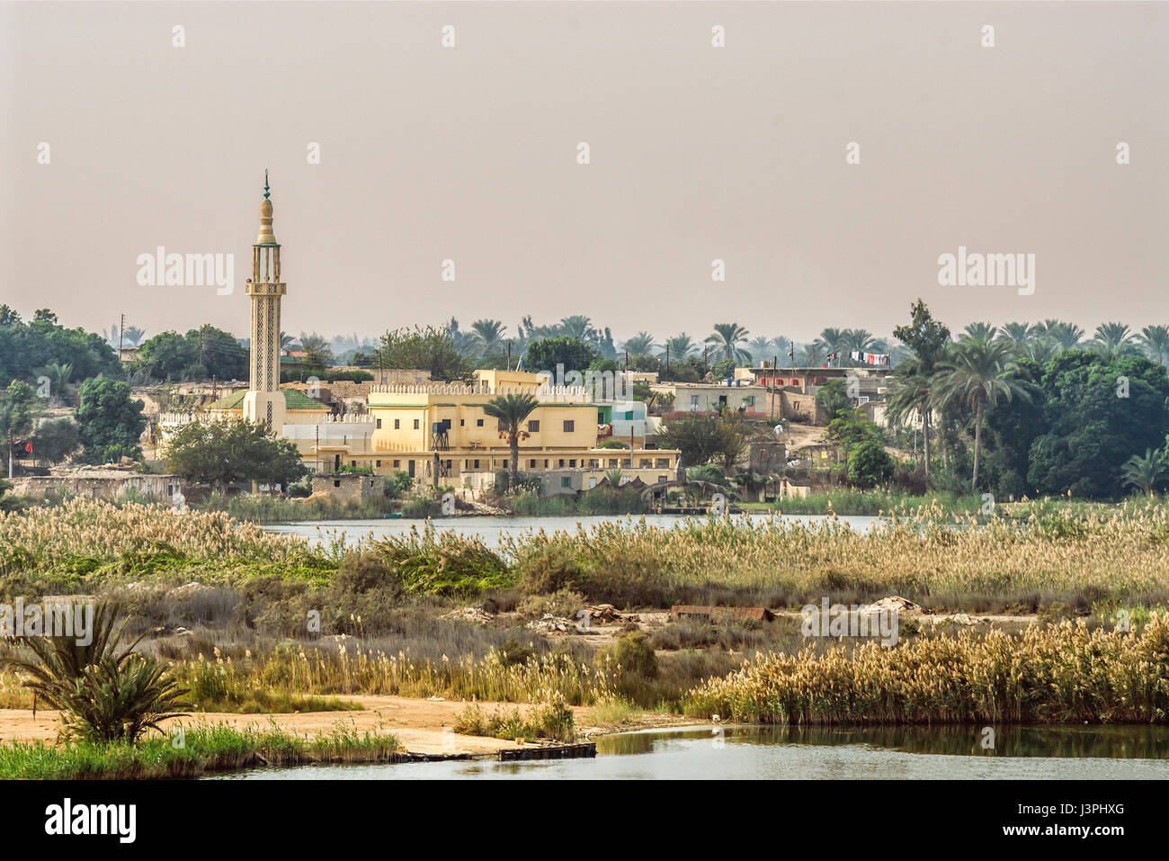 Desert oasis landscape at the Suez Channel near Port Said, Egypt Stock ...