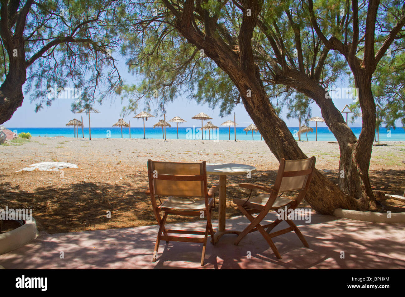 Tamarisk trees hi-res stock photography and images - Alamy