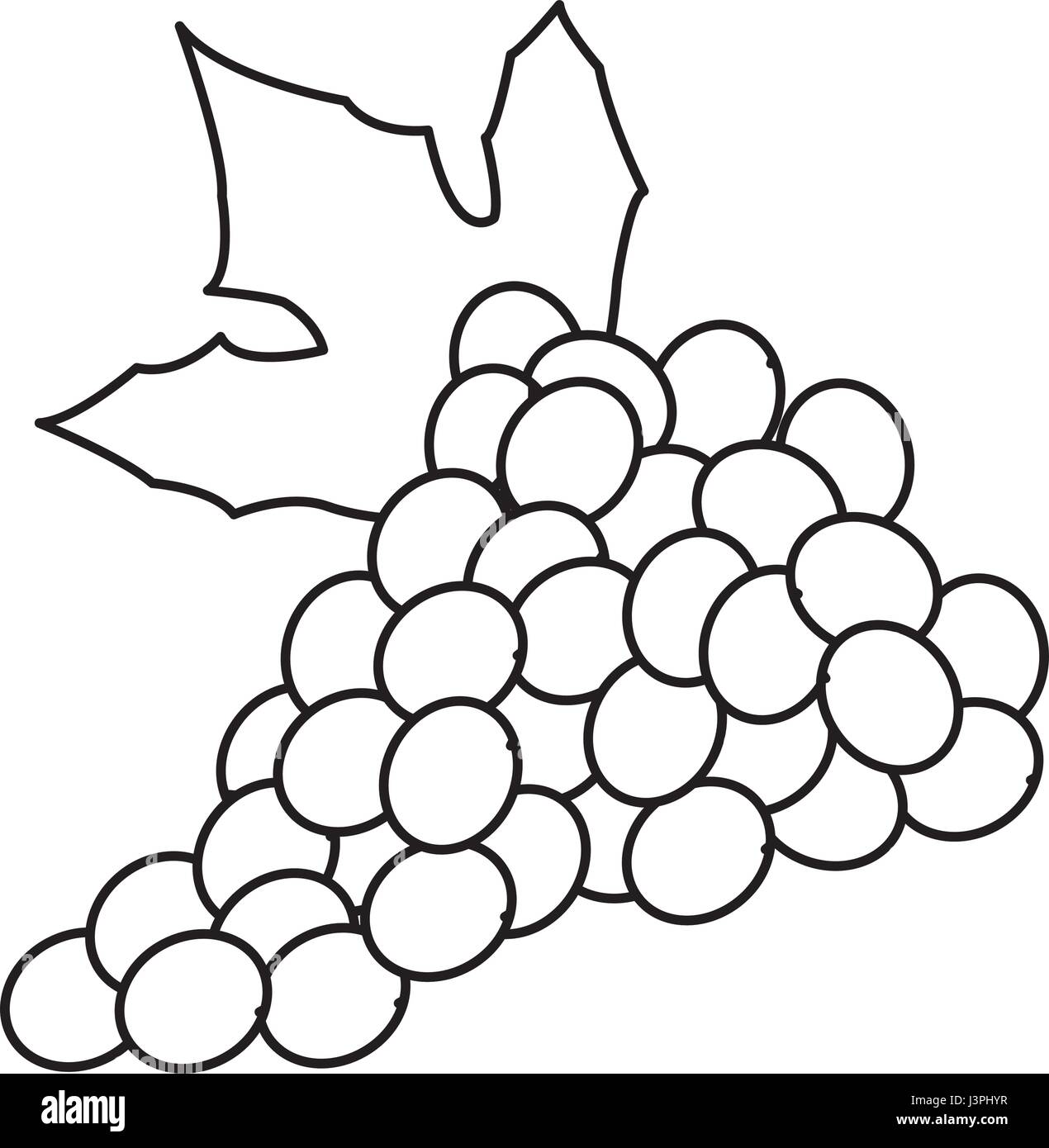 Red grape fruit food Black and White Stock Photos & Images - Alamy