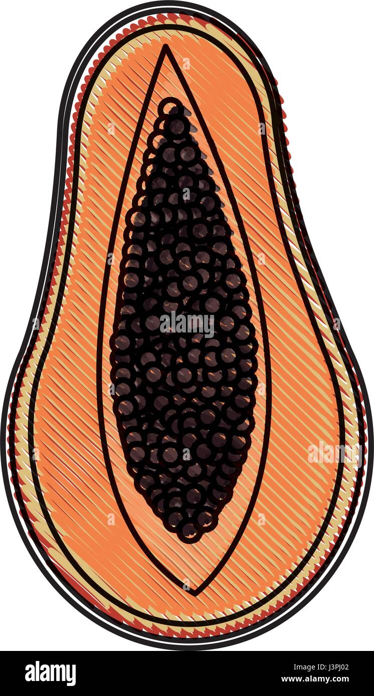 Half pawpaw fruit icon Stock Vector Images - Alamy