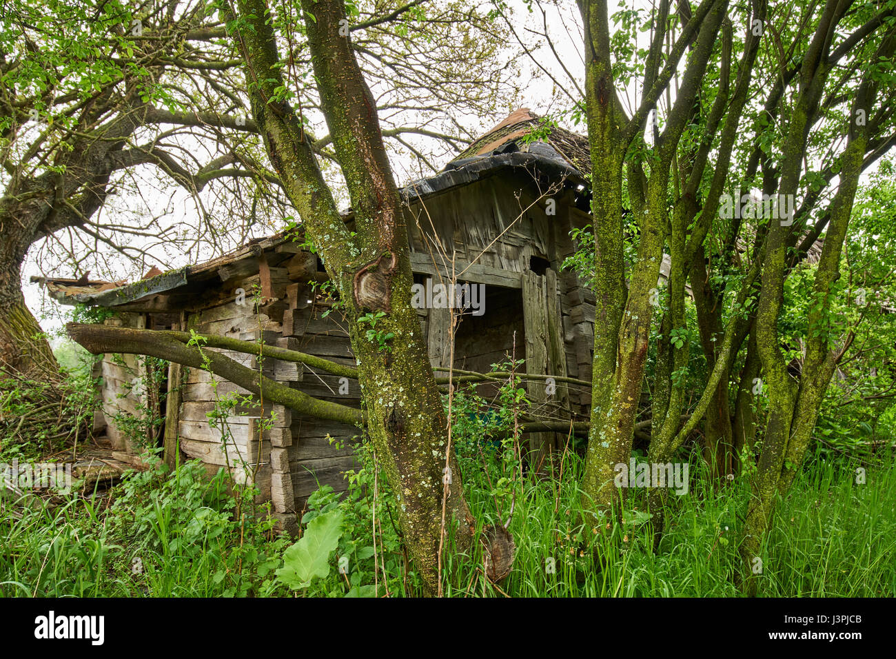 A very old and ruined house in the countryside Stock Photo - Alamy