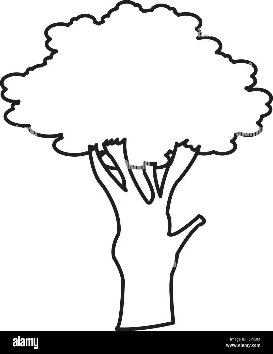 Tree Trunk Clipart Outline