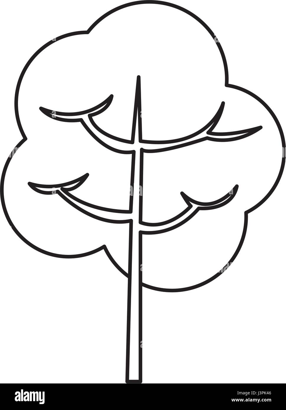 Tree trunk structure bark Stock Vector Images - Alamy