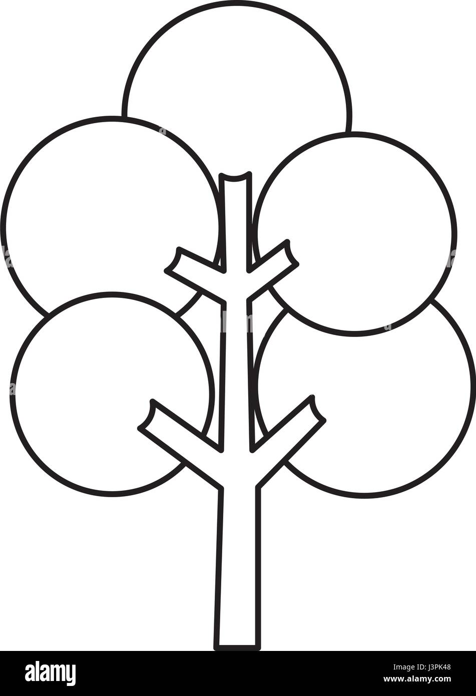 tree round foliage botanical line Stock Vector Image & Art - Alamy