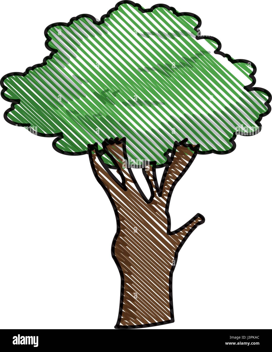 drawing tree foliage natural ecological image Stock Vector Image & Art ...
