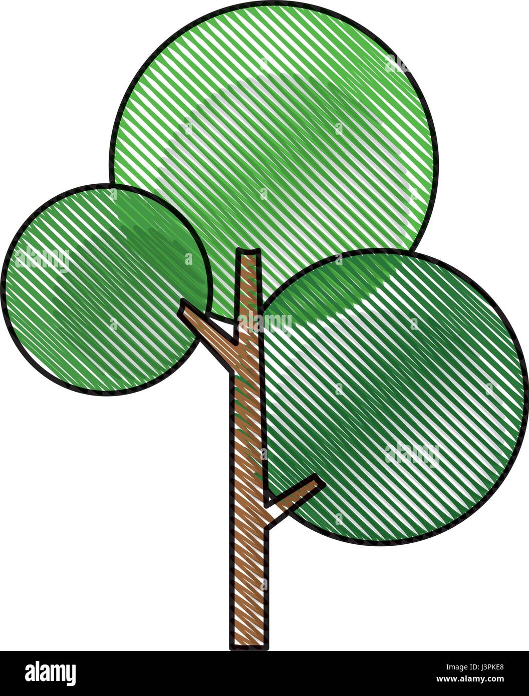 drawing green tree nature flora botanical Stock Vector Image & Art - Alamy