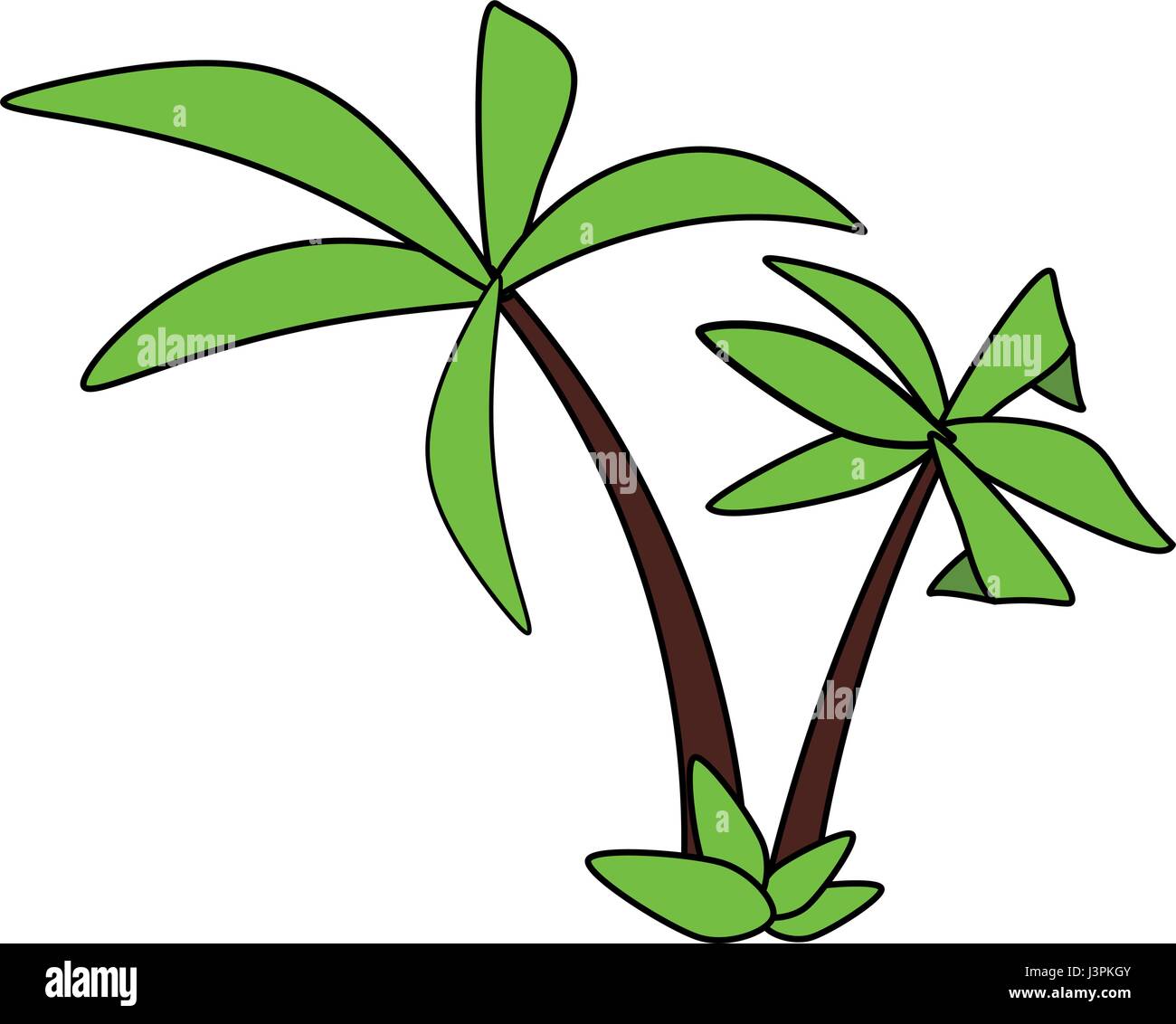 color image cartoon tropical palm trees Stock Vector Image & Art - Alamy
