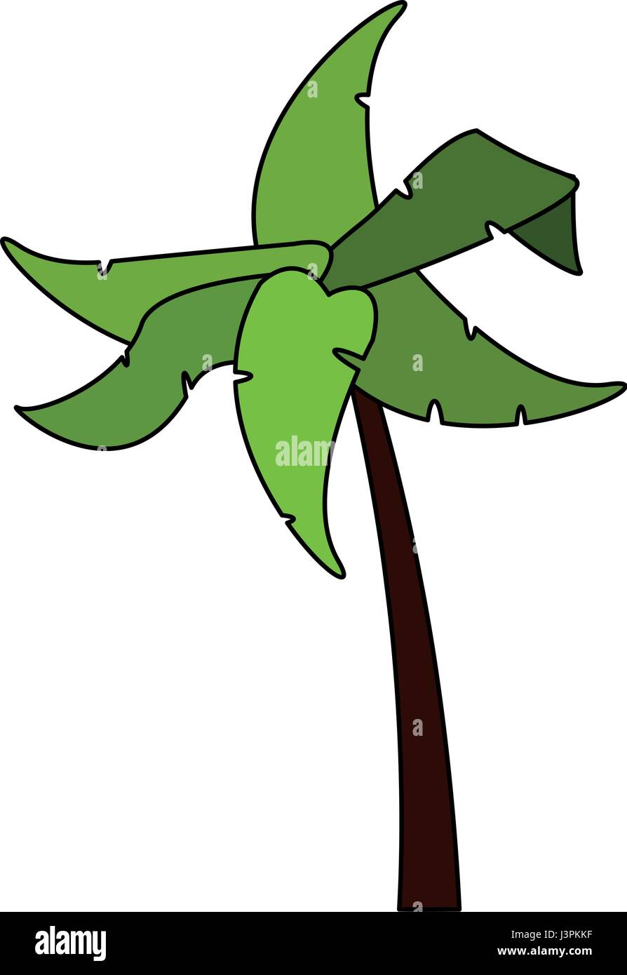 color image cartoon tropical palm tree Stock Vector Image & Art - Alamy