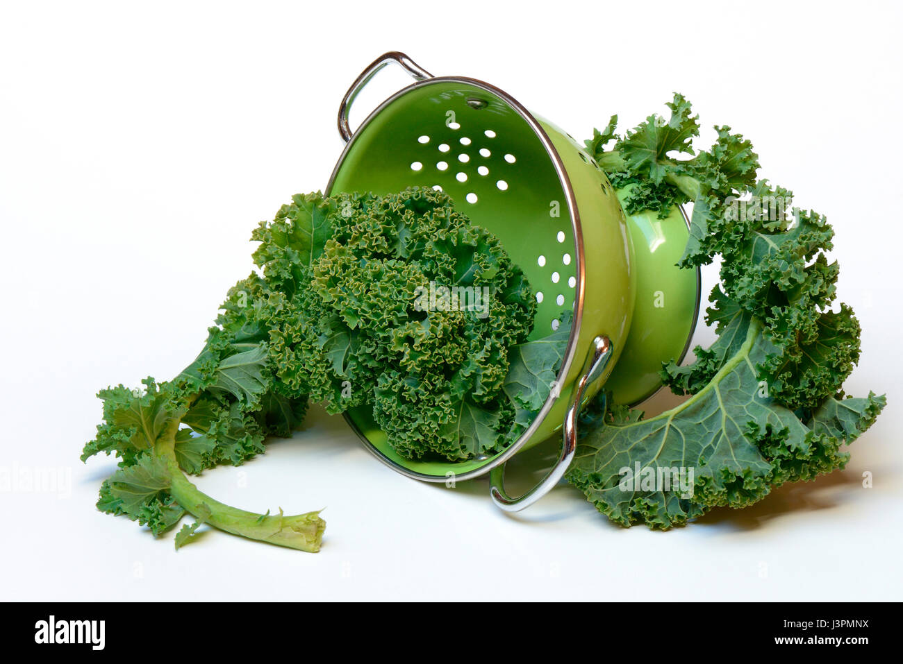 Gruenkohl in Abtropfsieb, Gruenkohl, Krauskohl, Federkohl, Winterkohl ...