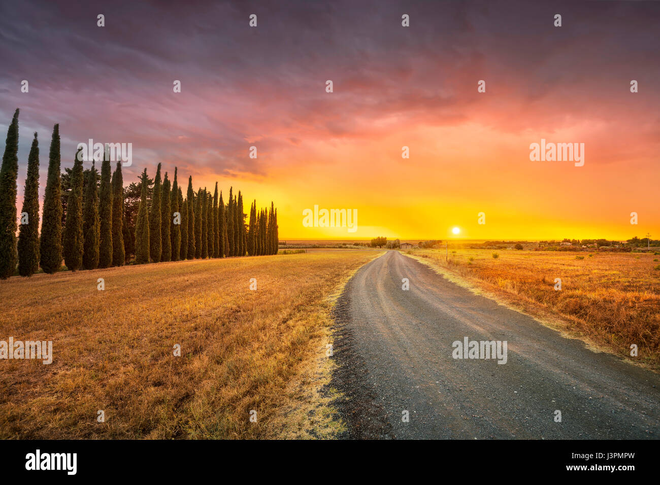 Sunset landscape in bad weather. Rural road, cypress trees. green field ...