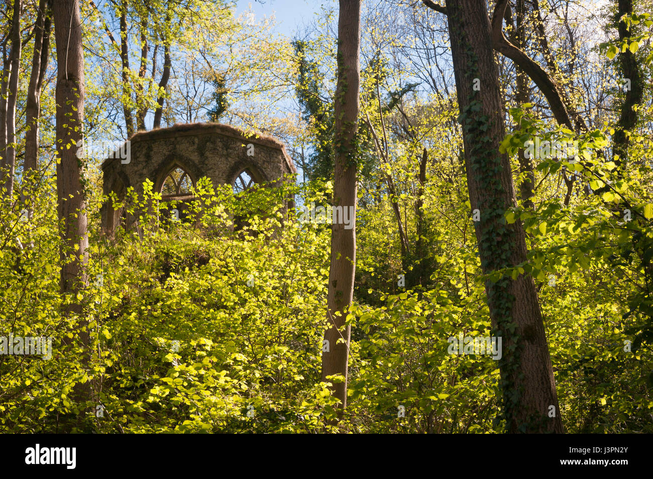 Fishers hall, a folly, poking through the woodland vegetation in ...