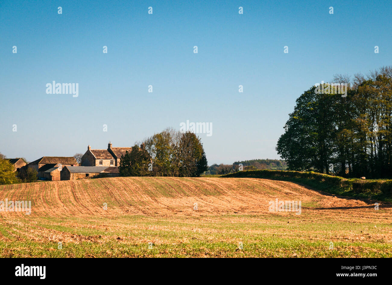 Mowbray castle folly hi-res stock photography and images - Alamy