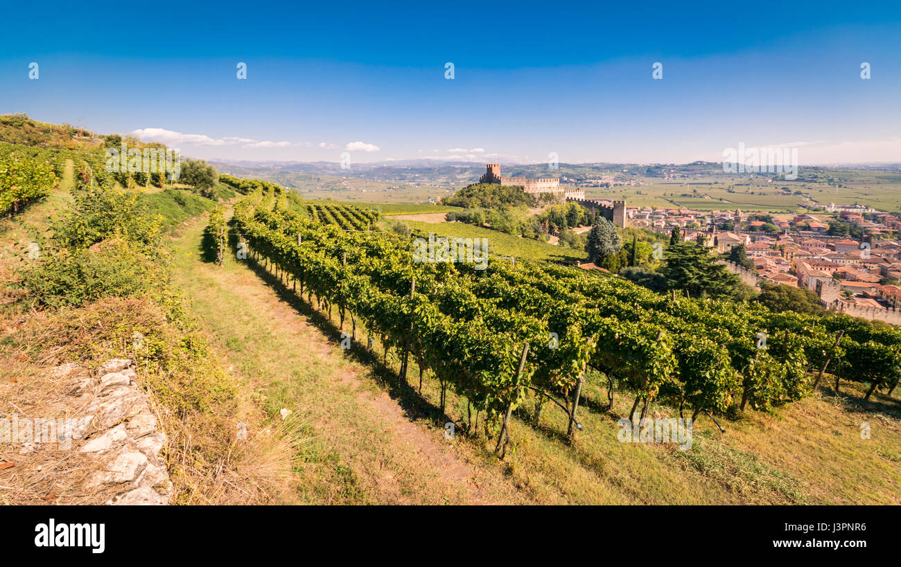 View of Soave (Italy) surrounded by vineyards that produce one of the ...