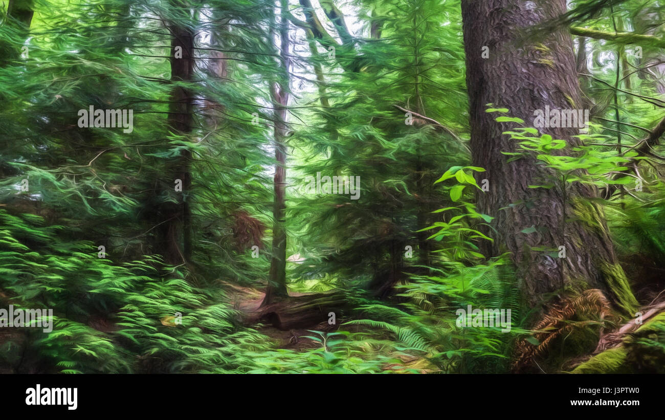 Forest in southern Alaska Stock Photo - Alamy