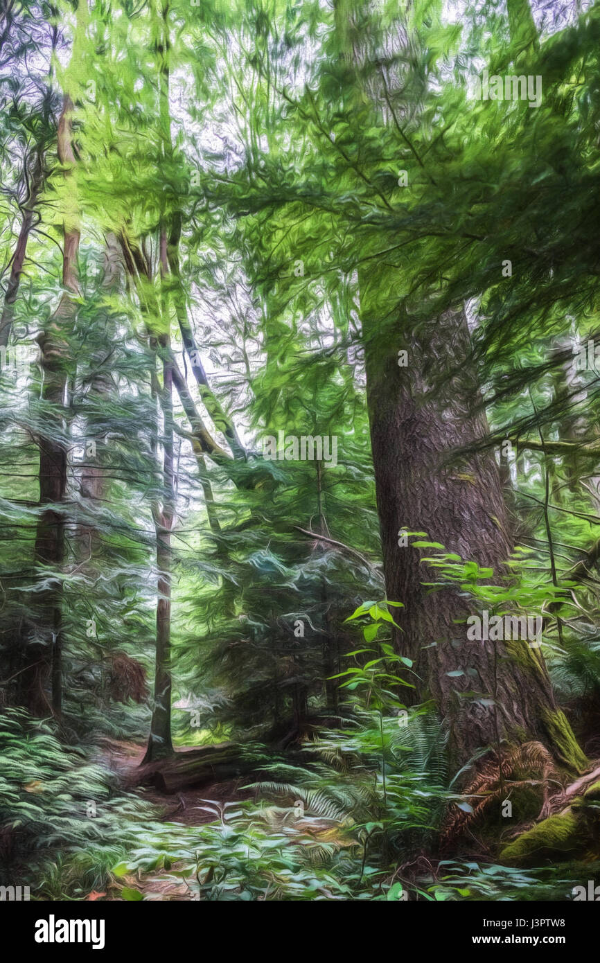 Forest in southern Alaska Stock Photo - Alamy