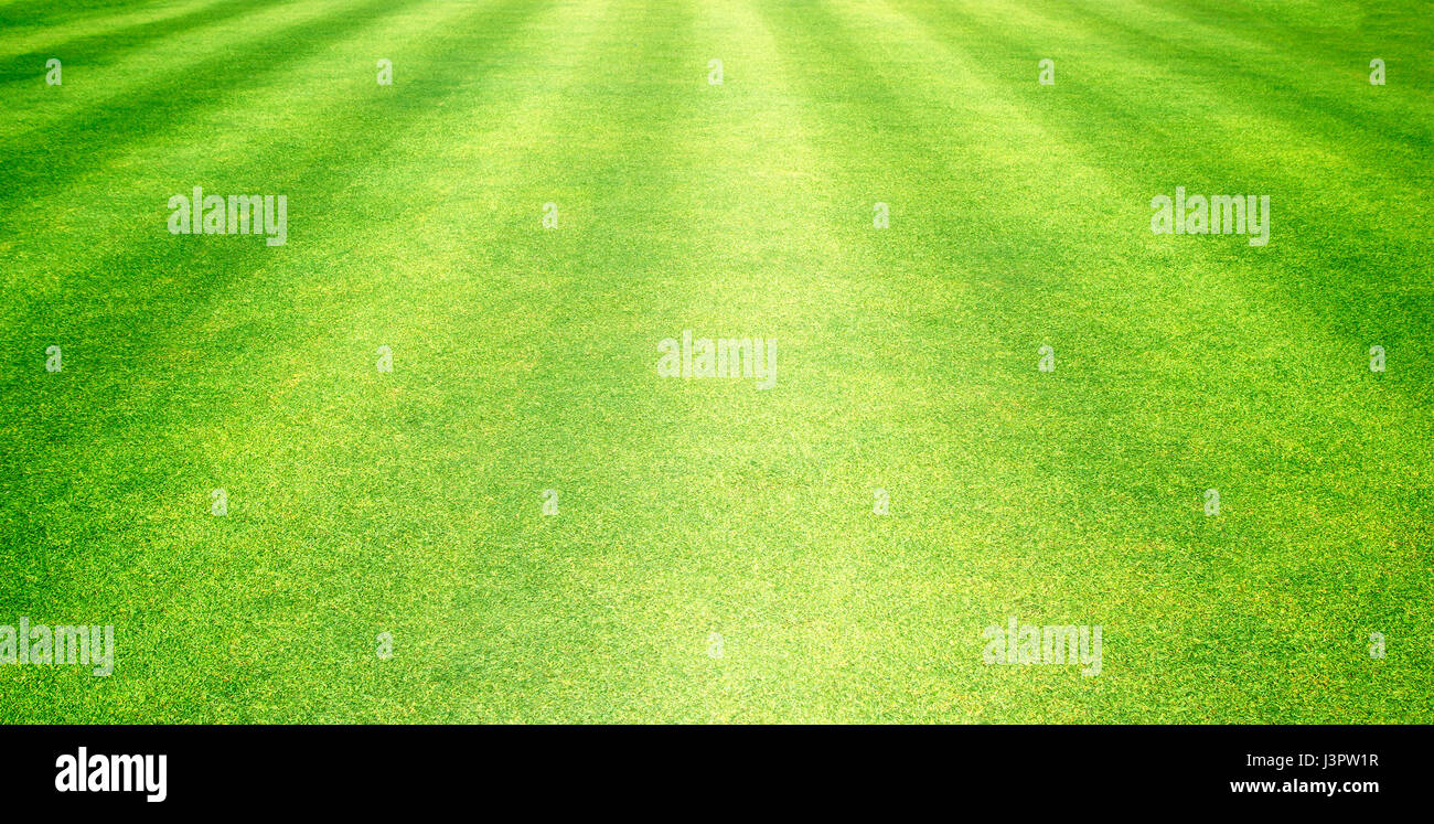 grass background Golf Courses green lawn pattern textured background ...