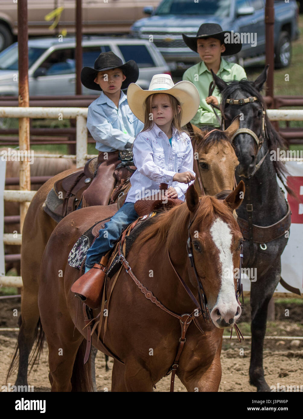 Horses performing in an arena hi-res stock photography and images - Alamy