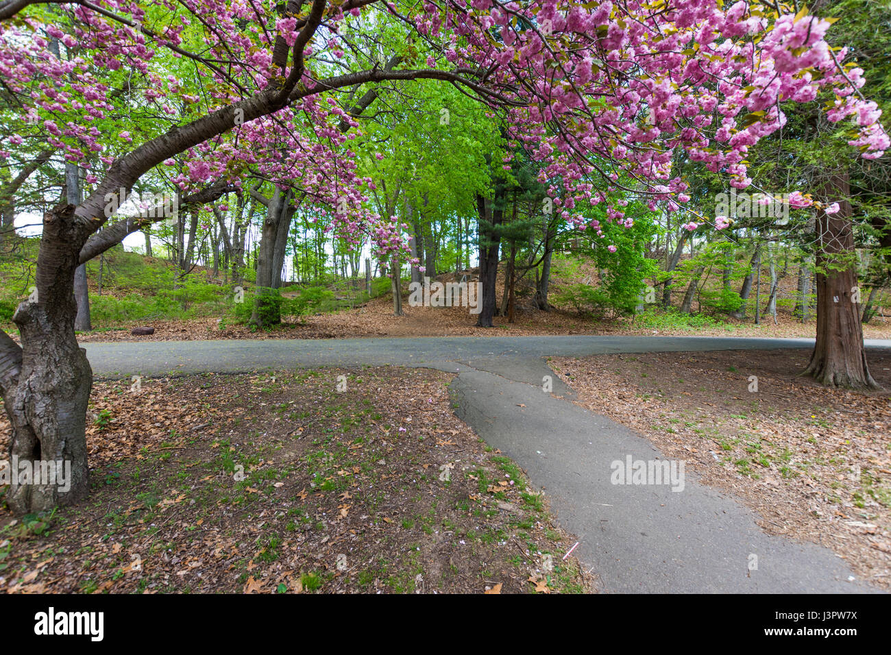 Edgewood county park hi-res stock photography and images - Alamy