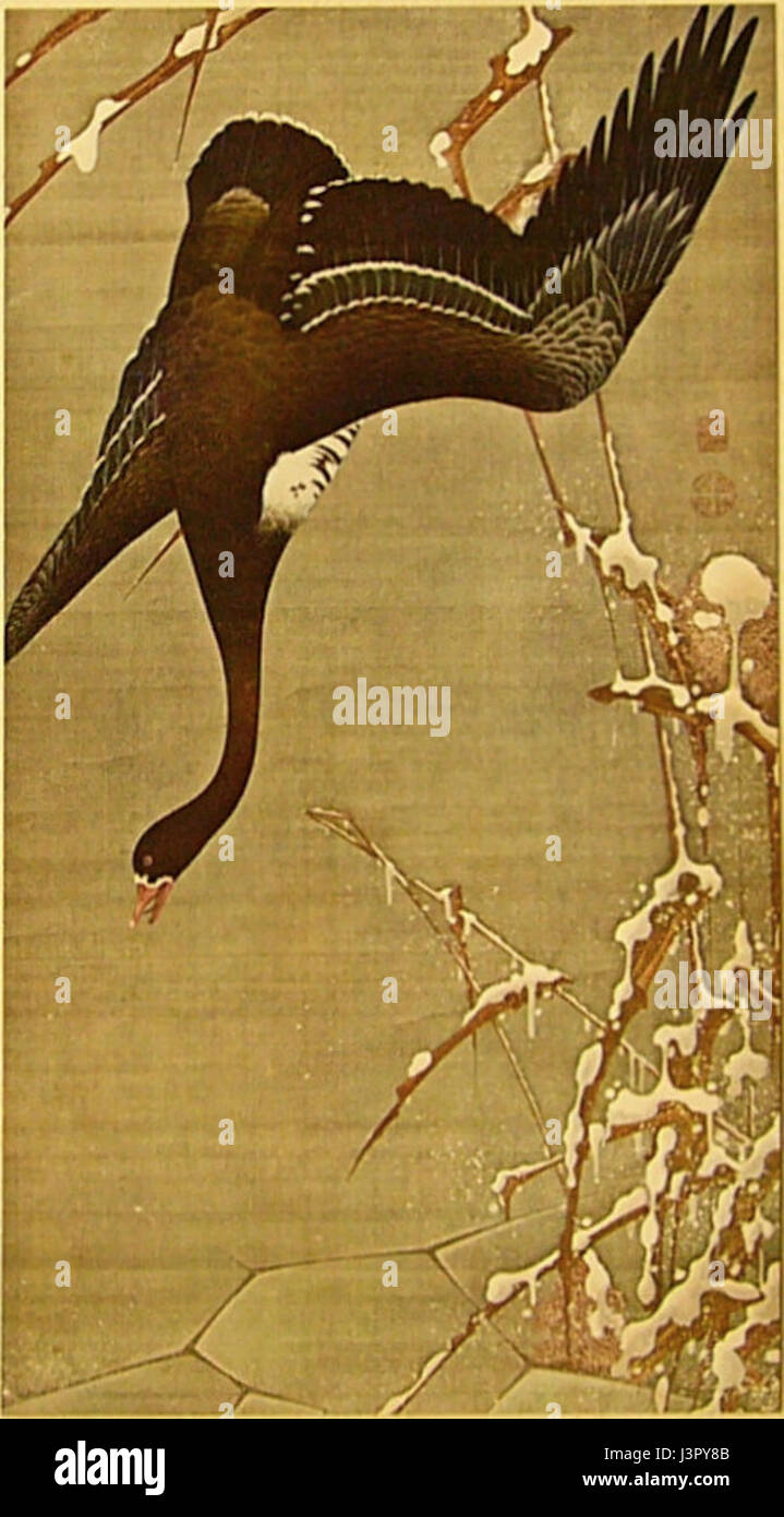 Ito jakuchu hi-res stock photography and images - Alamy