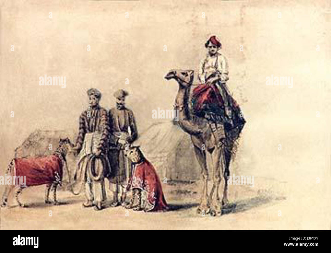 Oudh hi-res stock photography and images - Alamy