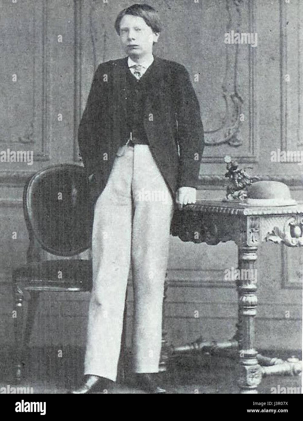 'Jongeprins Alexander' refers to a historical or artistic portrayal of ...