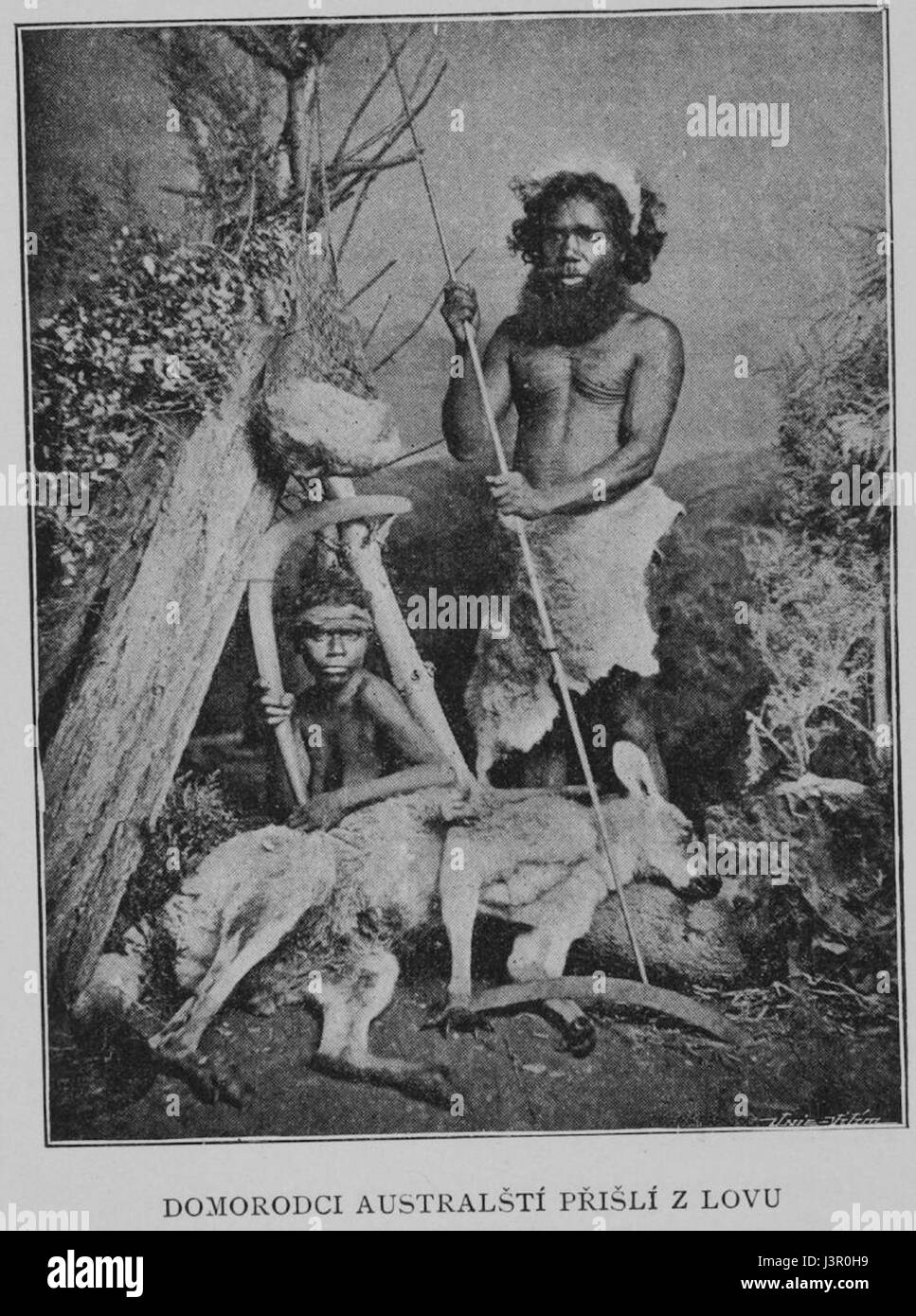 This photograph from 1901 captures Indigenous Australian hunters in a ...
