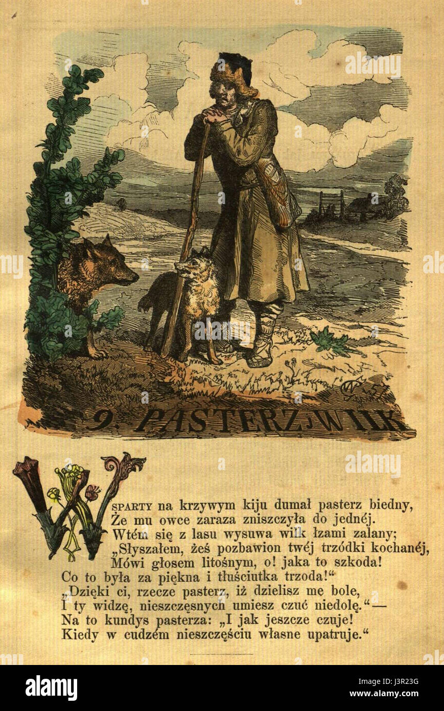 A famous Polish folk tale illustration featuring the shepherd and the ...