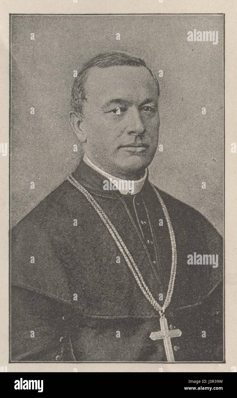 Johann Baptist Zwerger (likely the artist or scholar) is associated ...