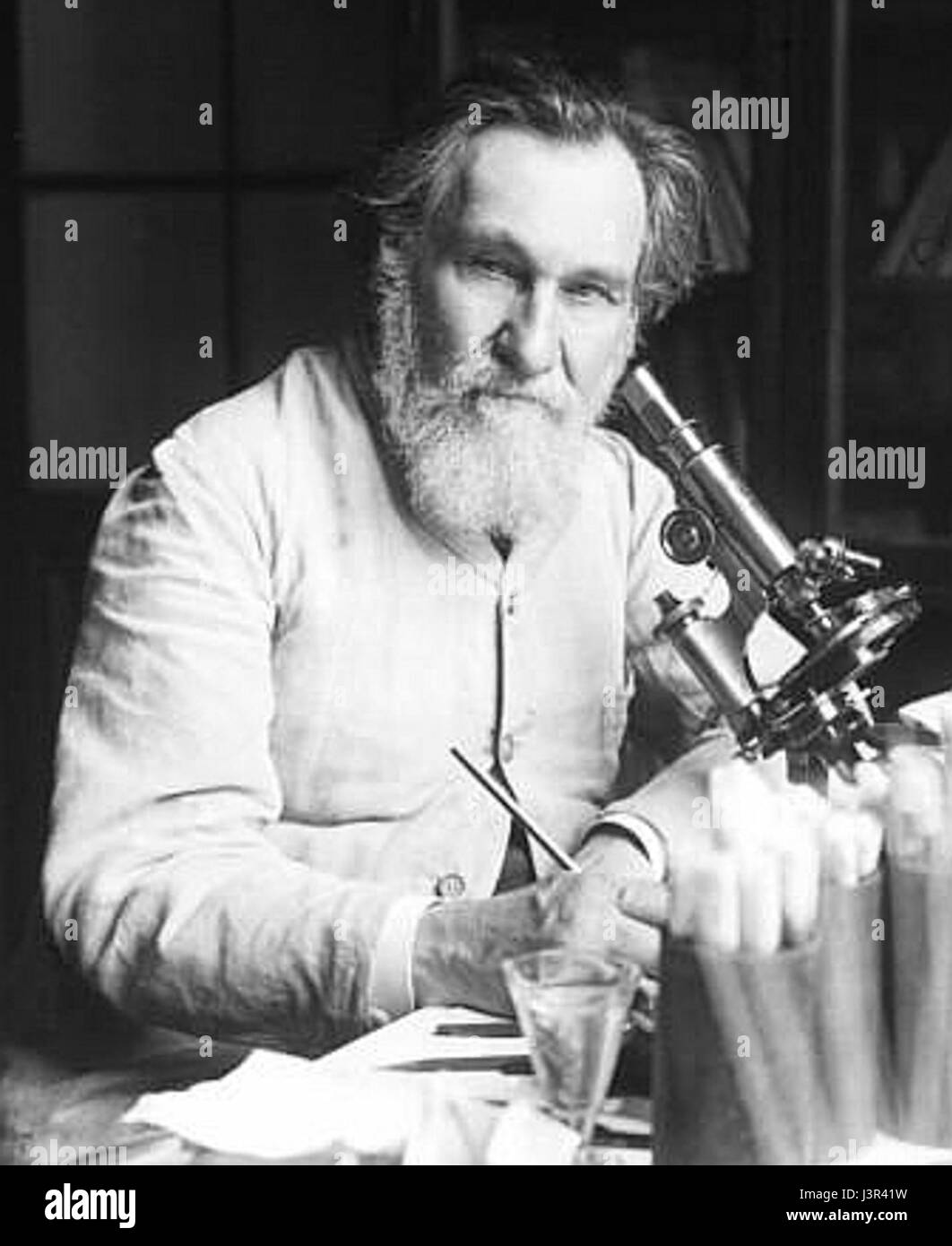 Ilya Ilyich Mechnikov, a renowned Russian biologist and Nobel laureate ...