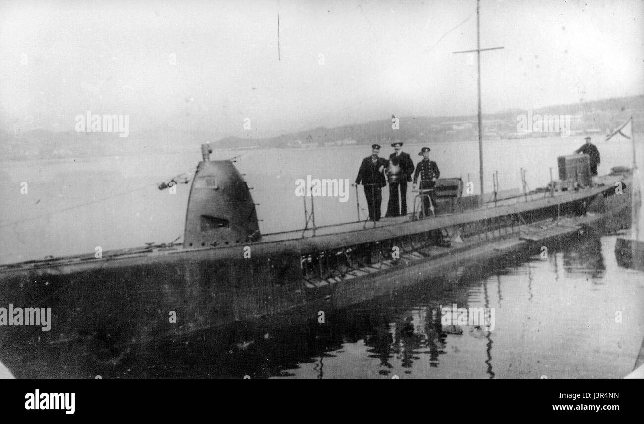 Kasatka was a notable orca whale, recognized for her role in marine ...