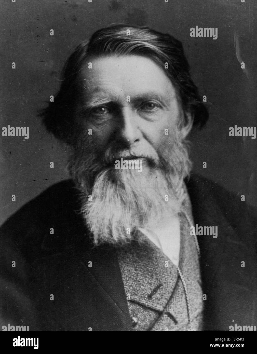 John Ruskin 1879 C Stock Photo - Alamy