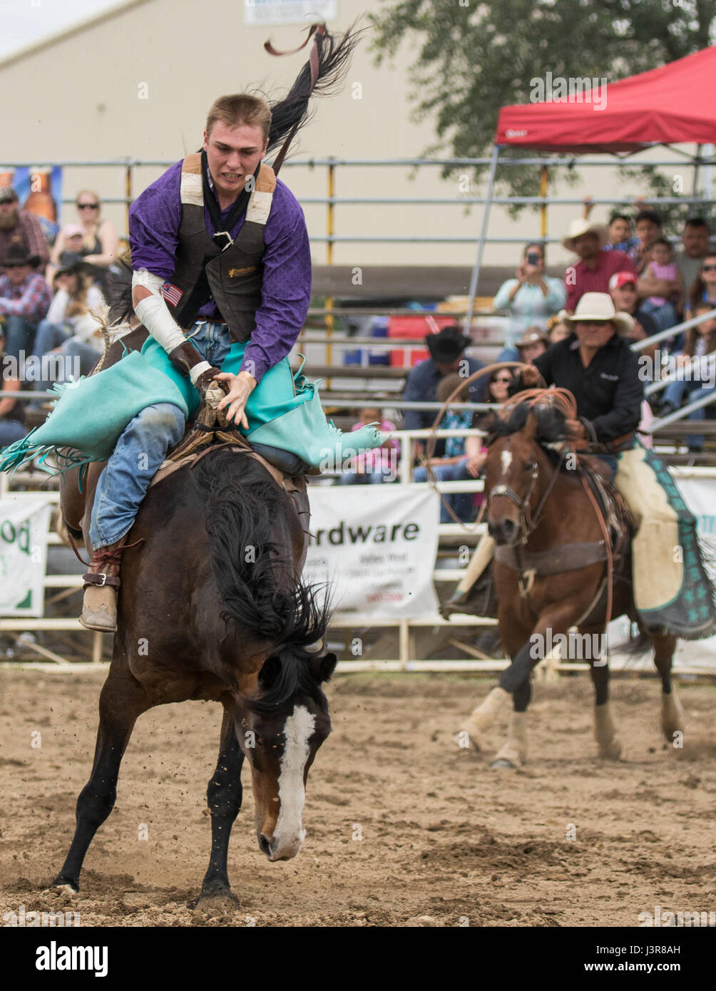 Rodeo action in Cottonwood, California Stock Photo - Alamy