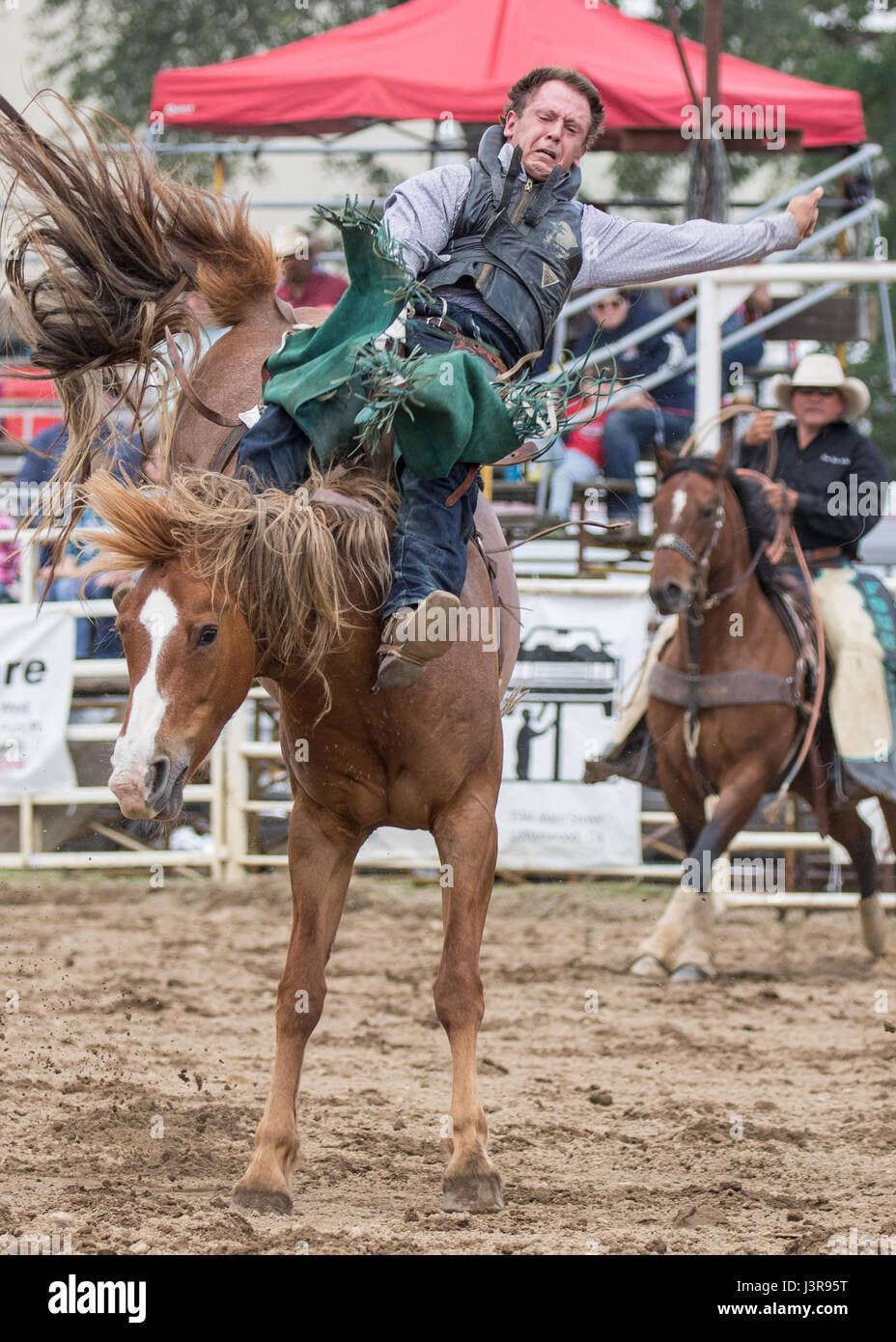 Rodeo action hi-res stock photography and images - Alamy