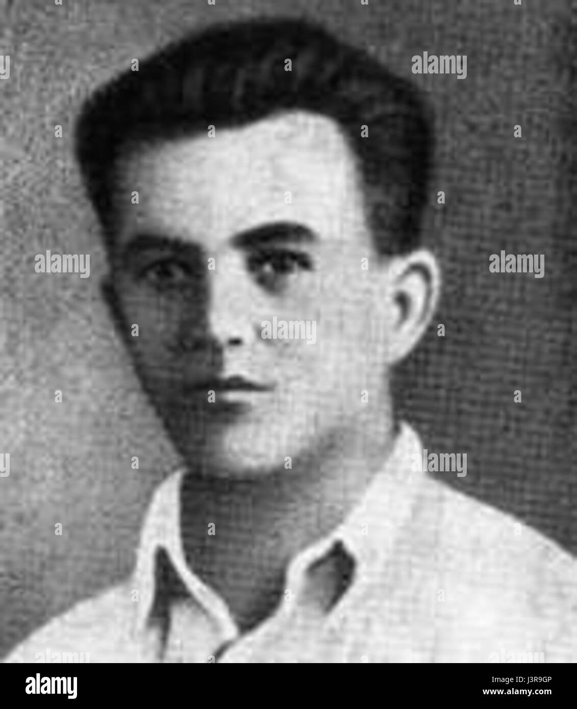 Polish painter and graphic artist hi-res stock photography and images ...