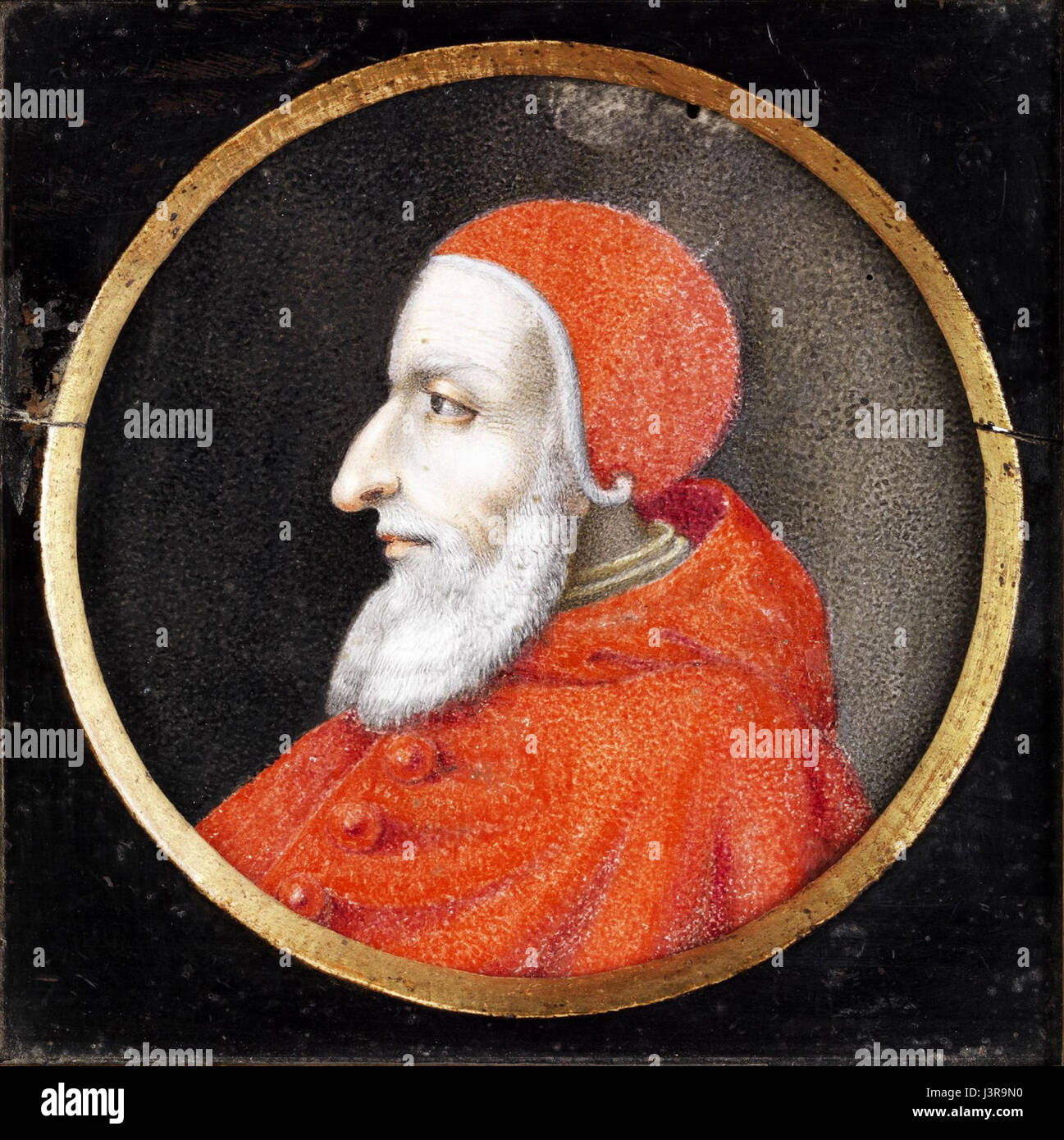Julius II anomyous portrait Stock Photo - Alamy