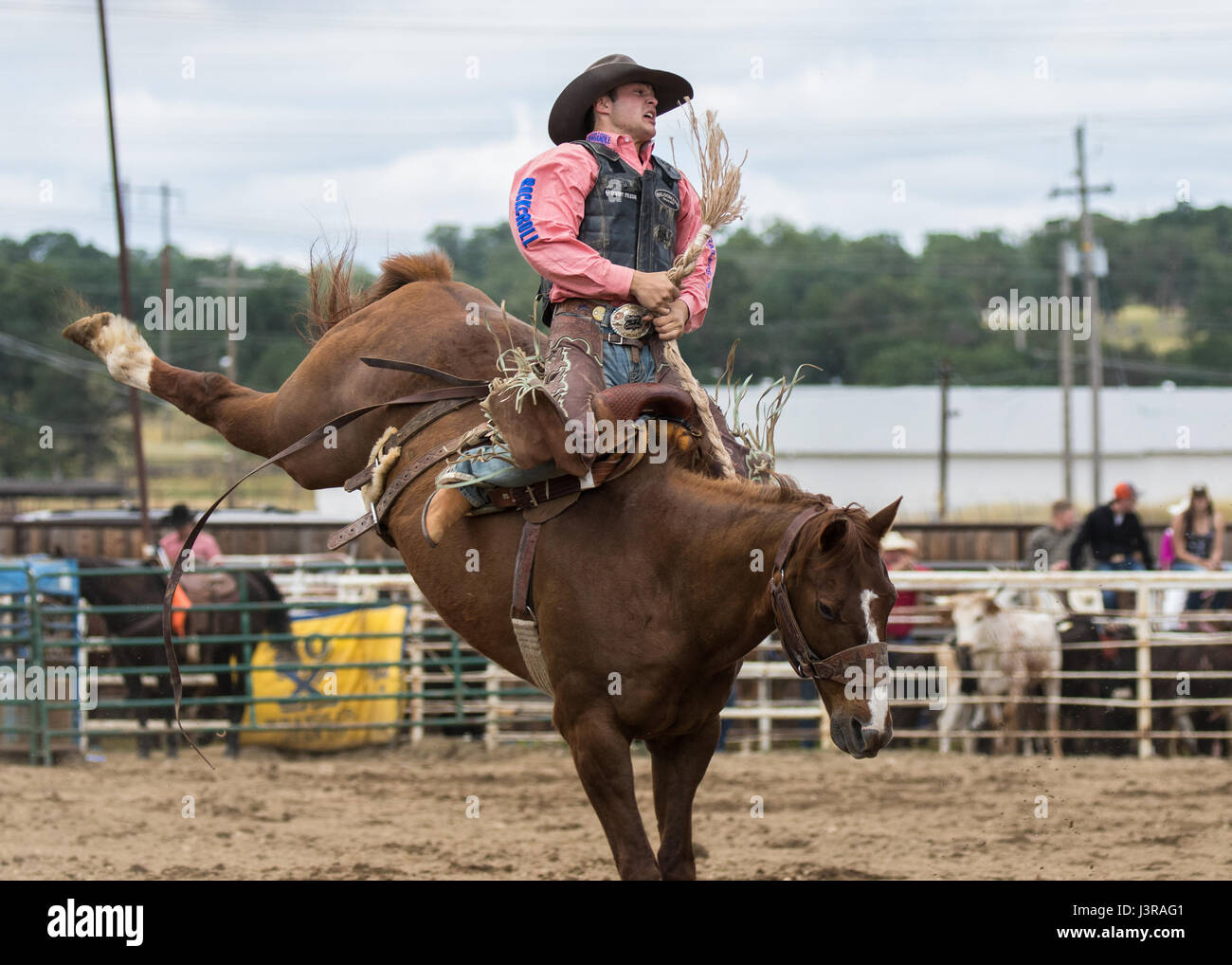 Rodeo action in Cottonwood, California Stock Photo - Alamy