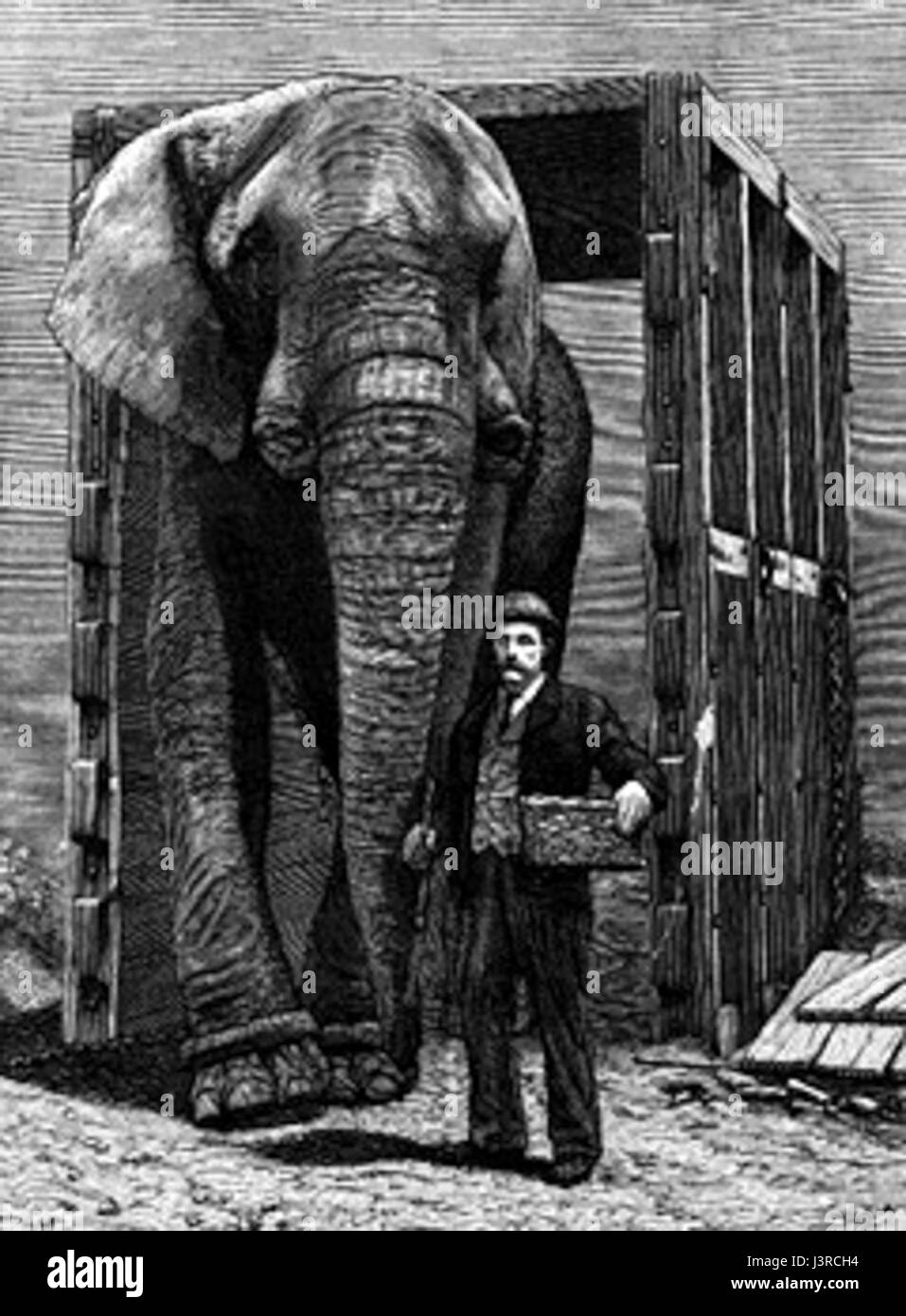 Jumbo03 likely refers to a large object or subject named 'Jumbo ...